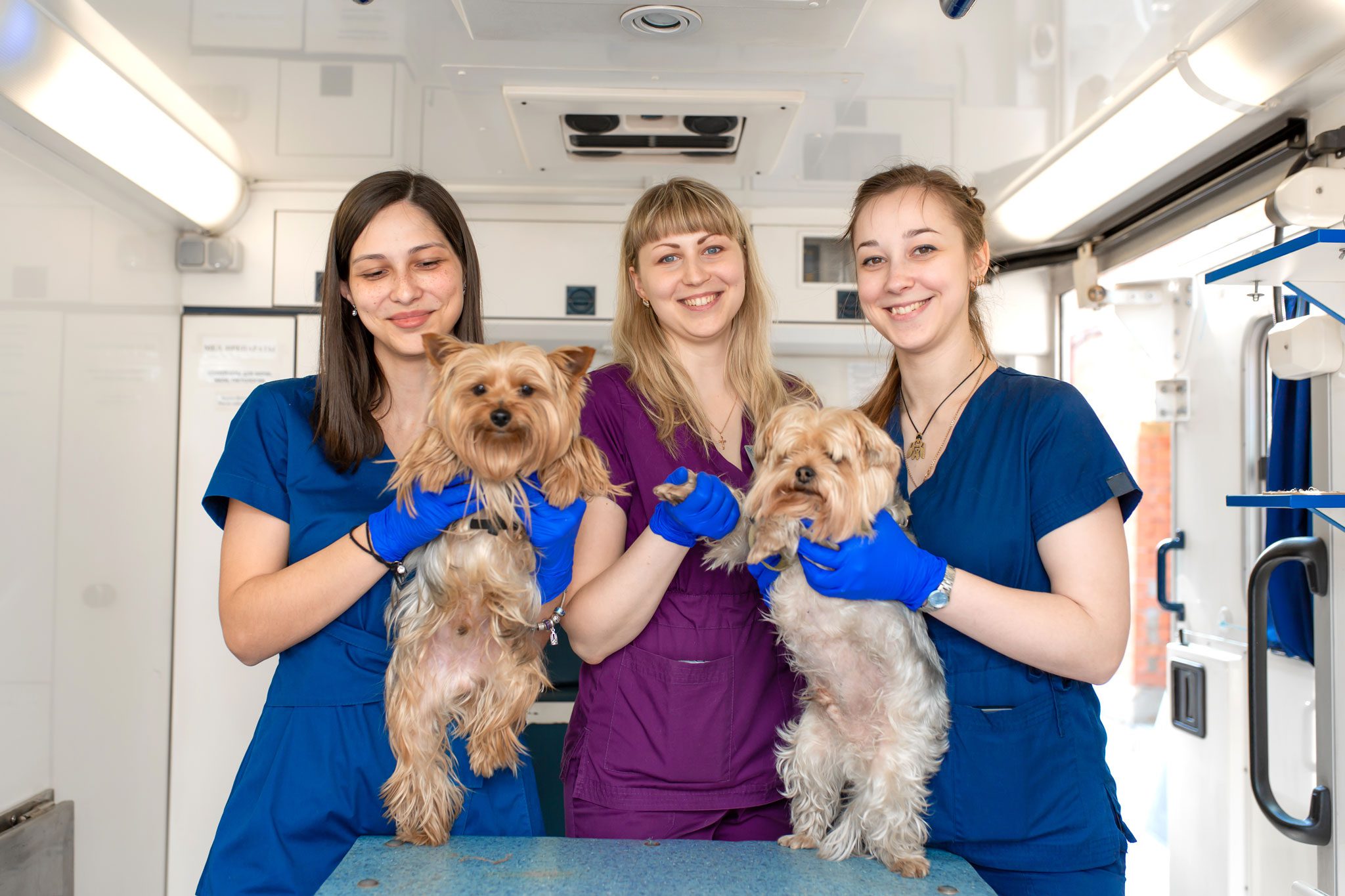 Veterinary Job Openings in Virginia Beach, VA | Atlantic Veterinary Center